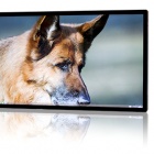 polytouch 55 4K: Das weltweit erste Multitouch all-in-one System mit UHD-Display - iXtenso ...